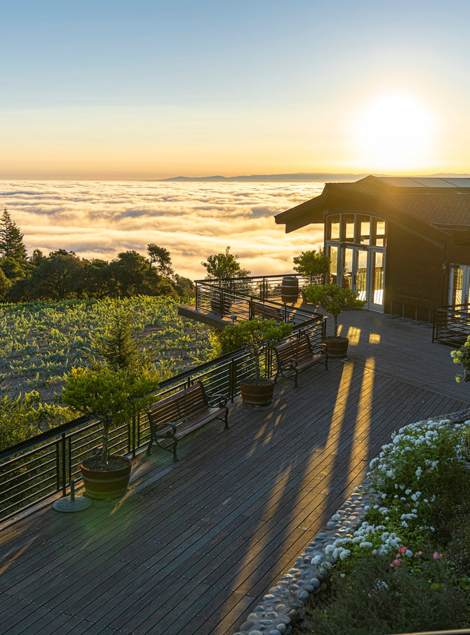 Thomas Fogarty | Winery and Cellar Door – Fogarty Wines USA